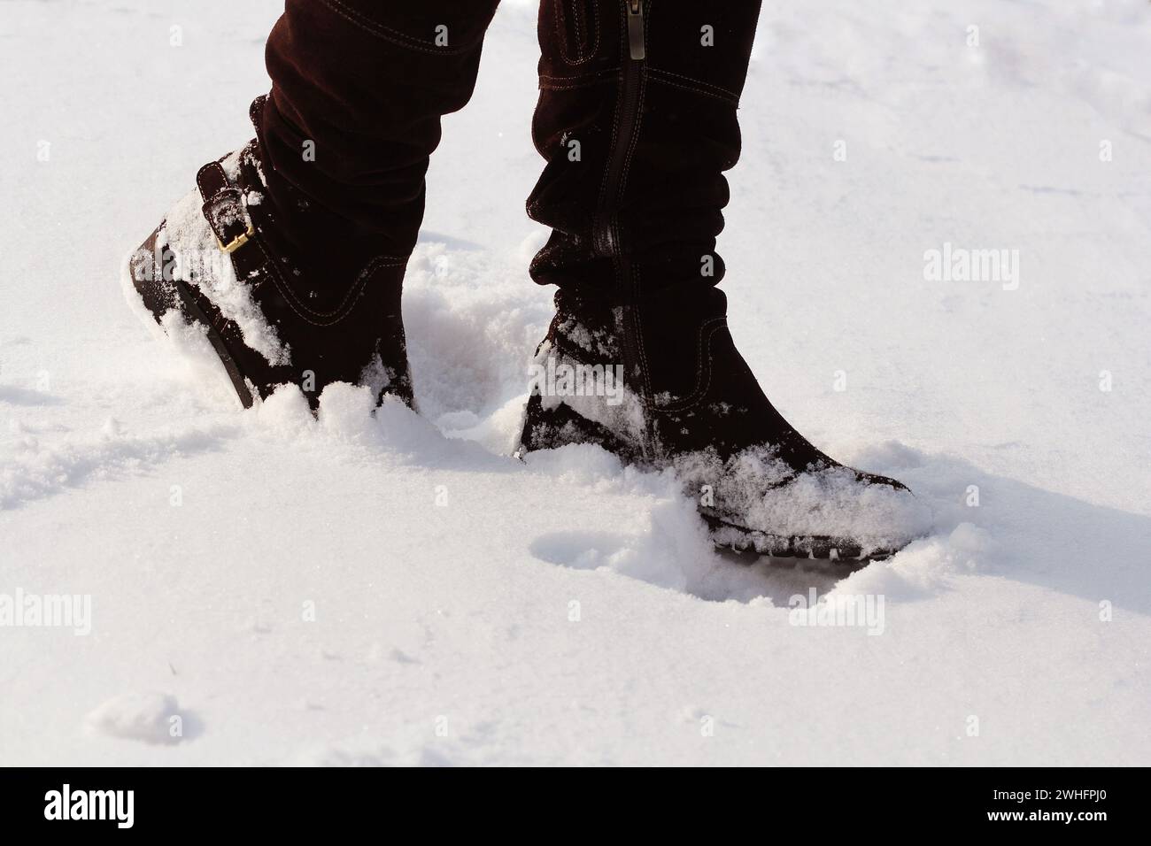 Two of them leather covered hi-res stock photography and images - Alamy