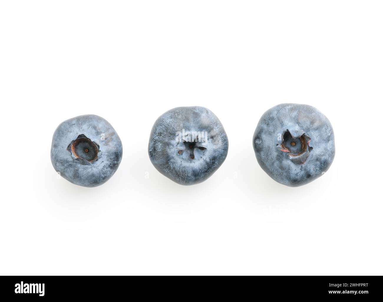 Three big blueberries isolated on white background, top view Stock ...