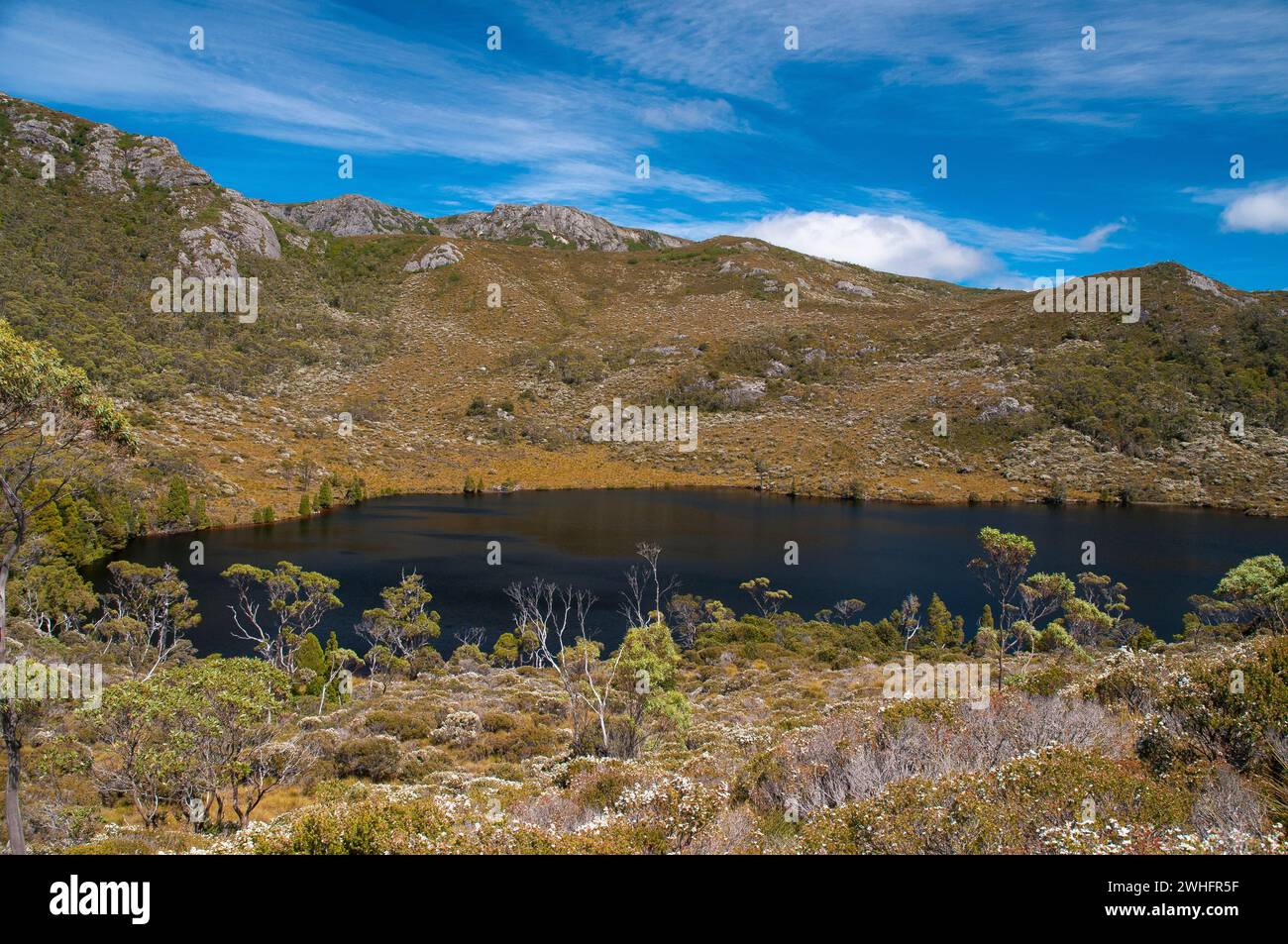 Wombat Pool, Cradle Mountain - Lake St Clair National Park. Tasmania ...