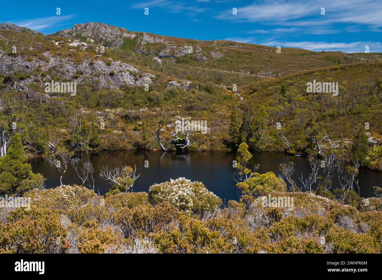 Wombat Pool, Cradle Mountain - Lake St Clair National Park. Tasmania ...