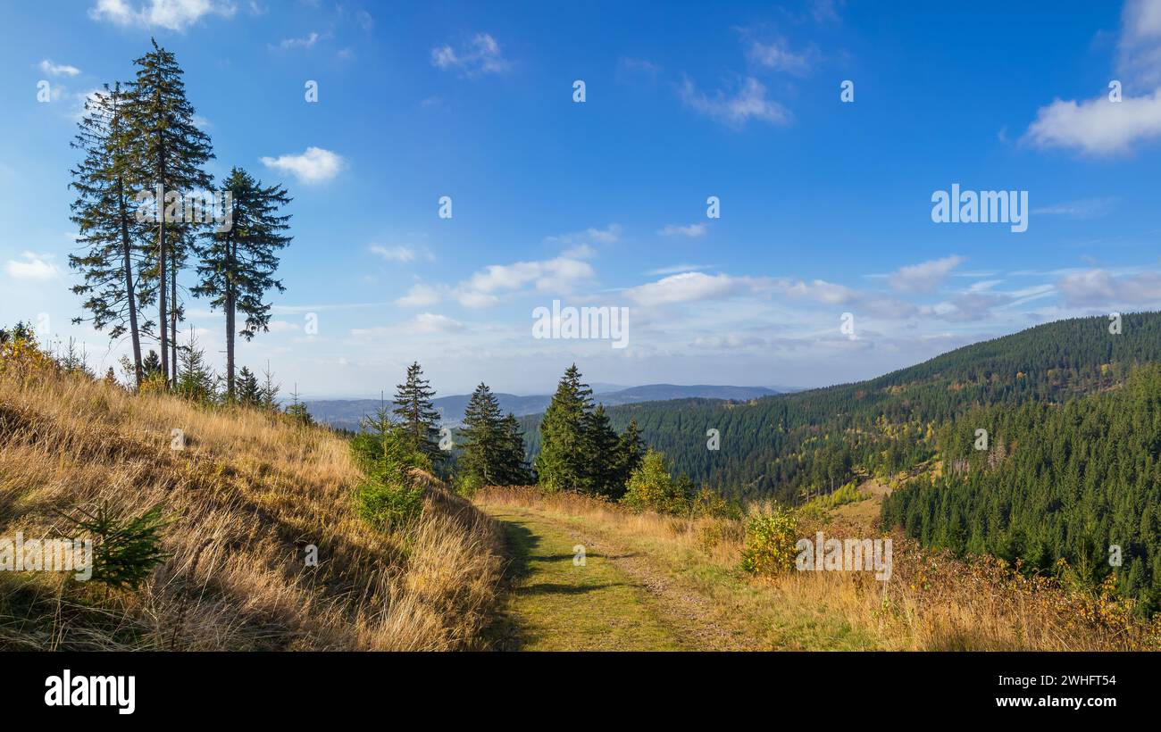 Landscape in the low mountain range Thuringian Forest Stock Photo - Alamy