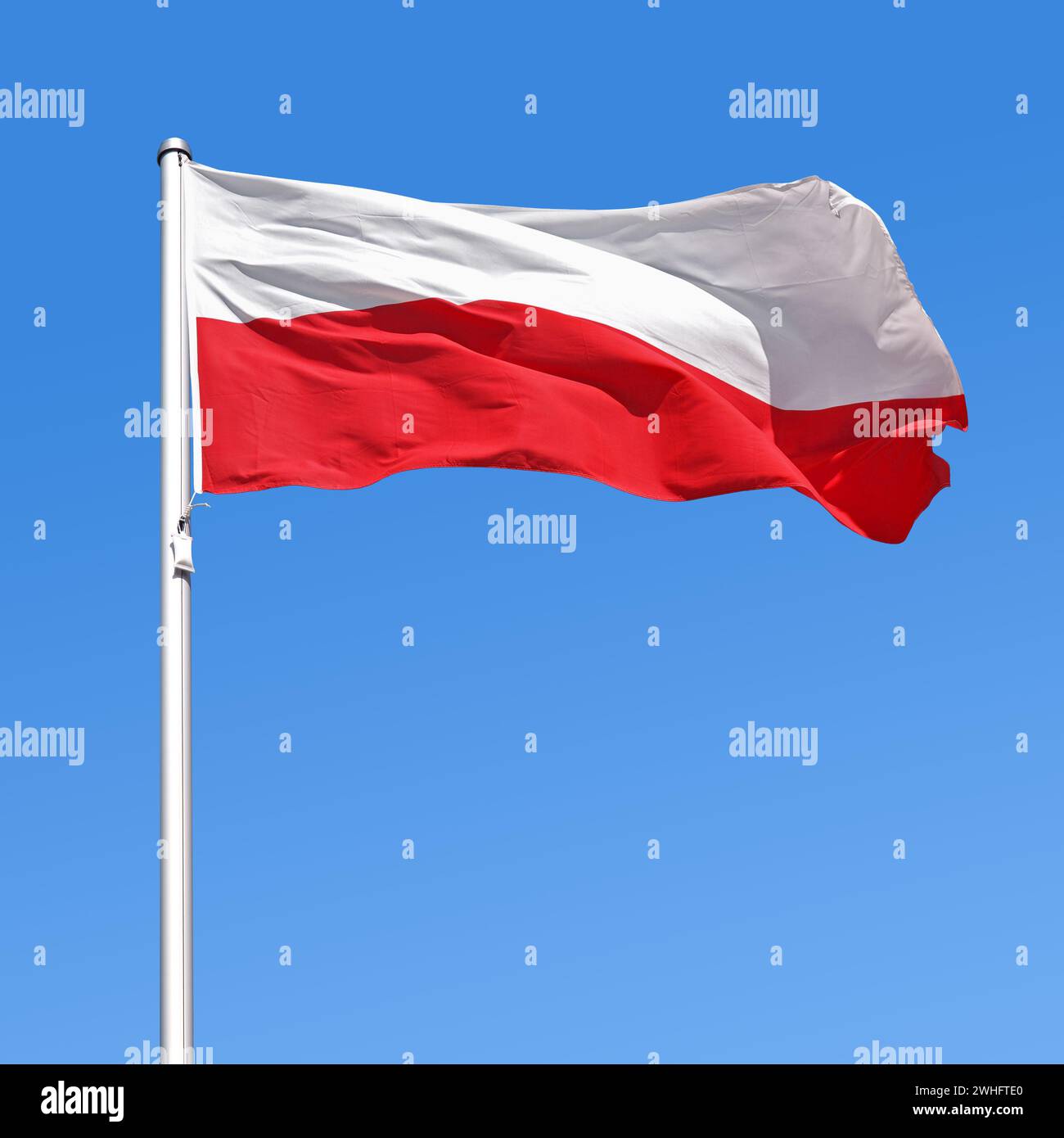 Poland flag waving hi-res stock photography and images - Alamy