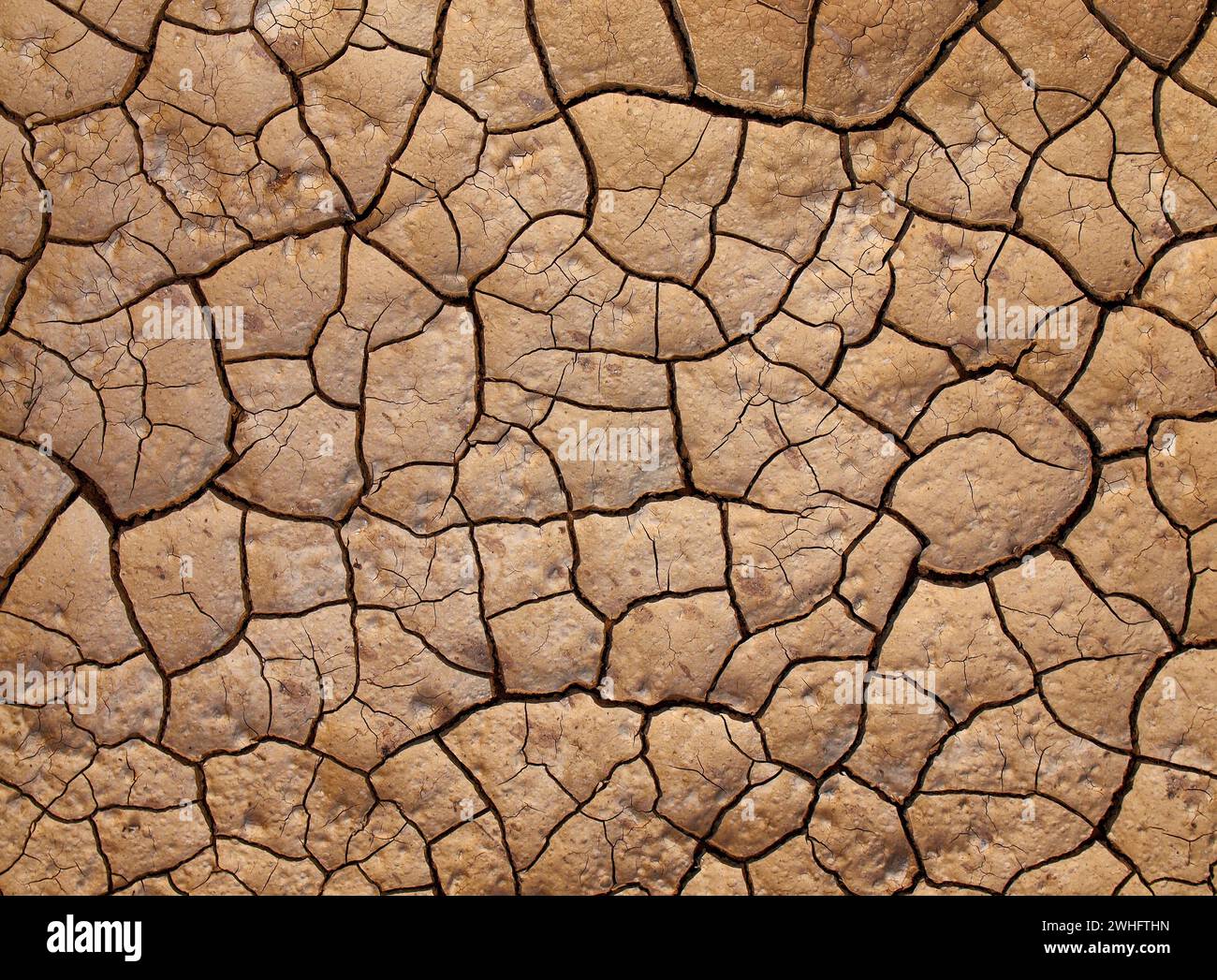 Wa stenklima hi-res stock photography and images - Alamy