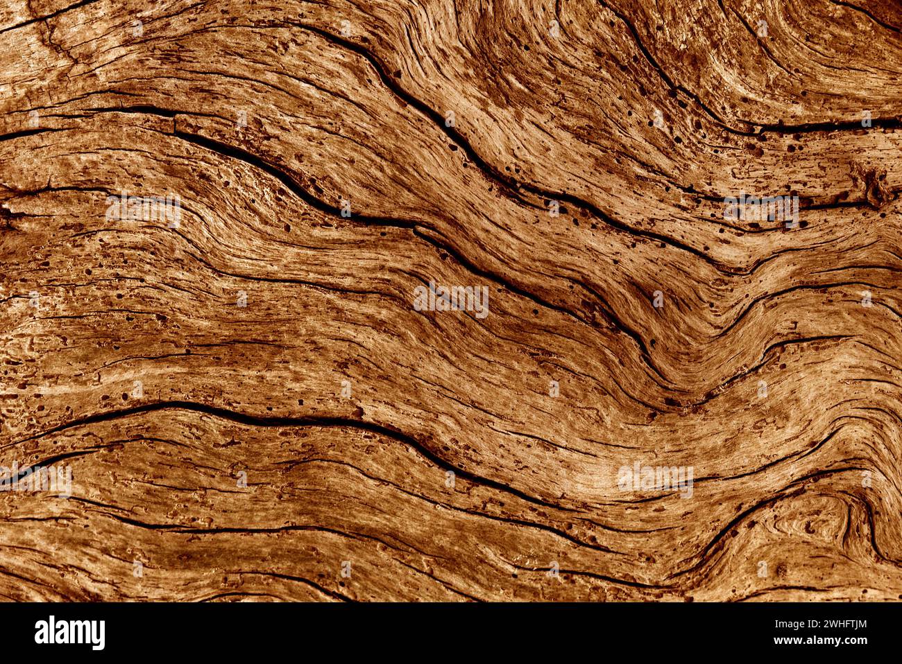 Wood structure hi-res stock photography and images - Alamy