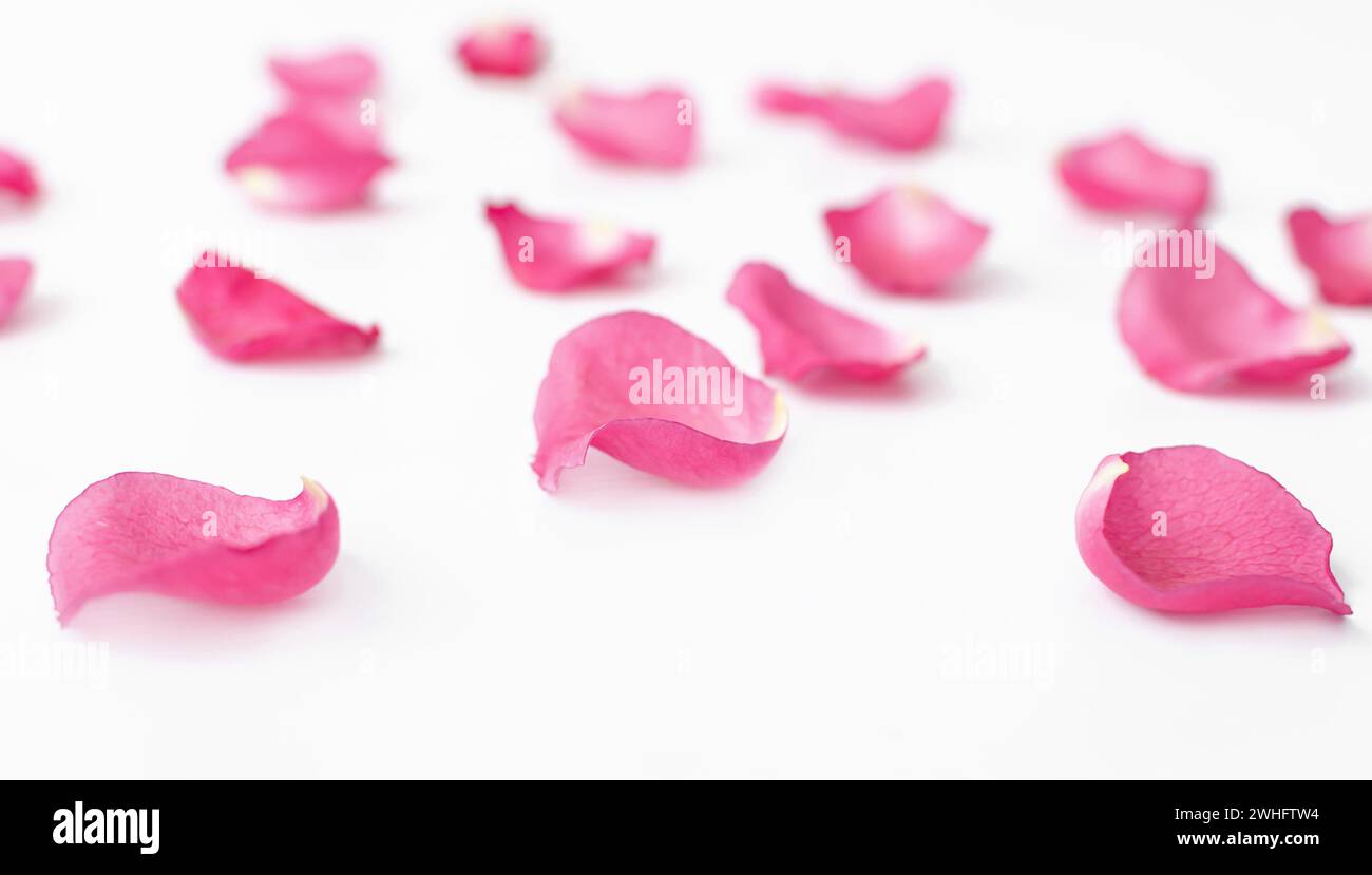 Scatter petals hi-res stock photography and images - Alamy