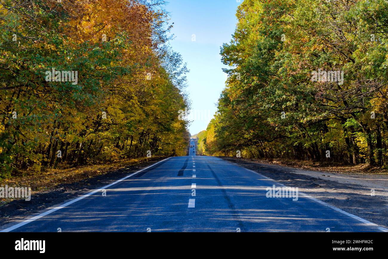 Car between trees hi-res stock photography and images - Alamy