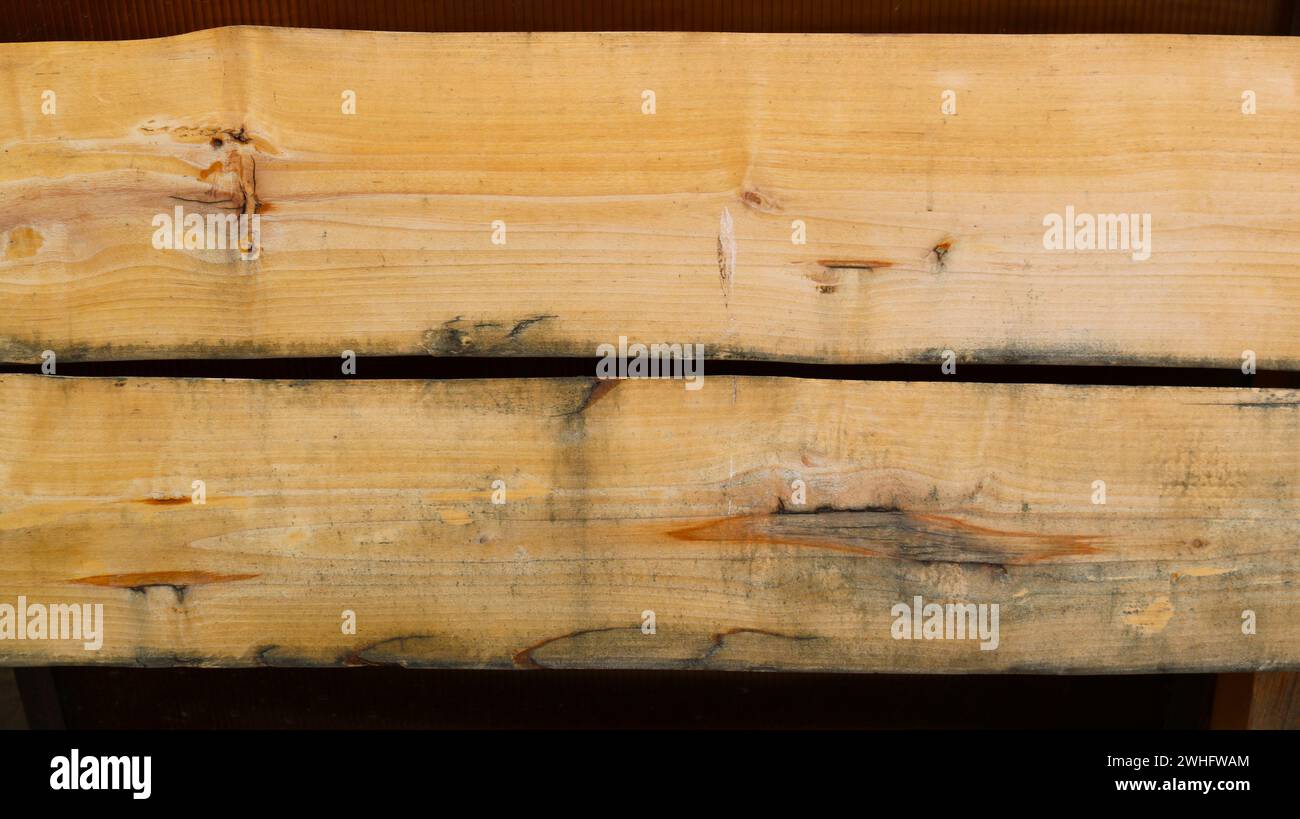 Two whole logs in a longitudinal section with a lacquered aged texture ...