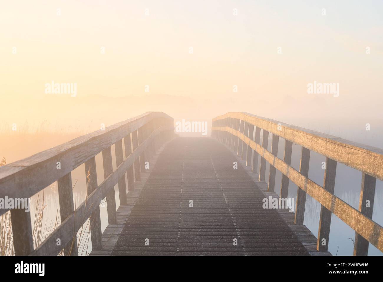 Wooden bridge in dense fog at sunrise Stock Photo - Alamy
