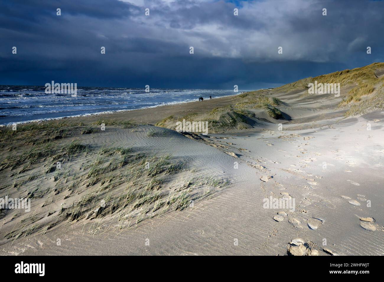 Sea dunes sand horizon hi-res stock photography and images - Alamy