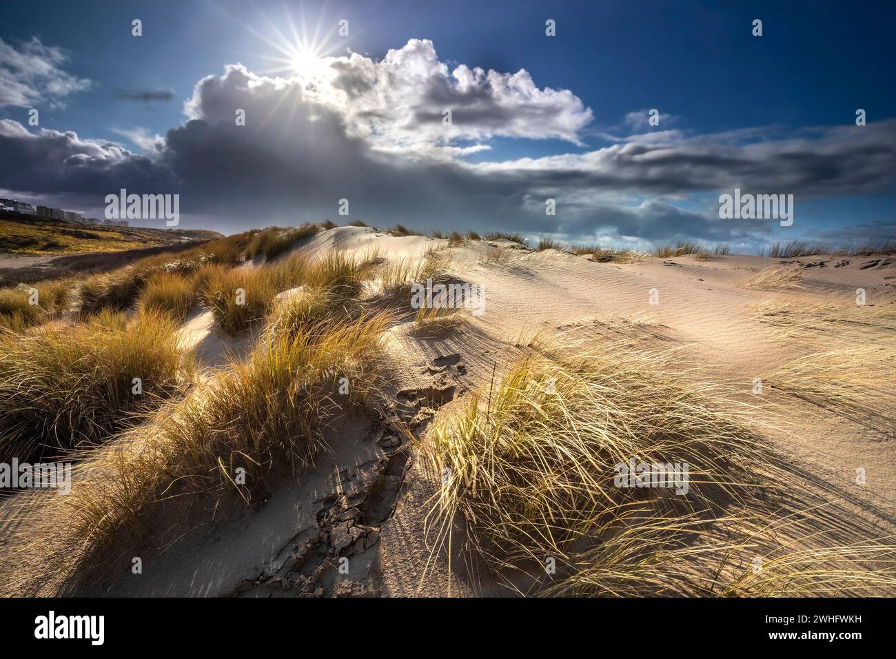 Sand sunlight hi-res stock photography and images - Alamy