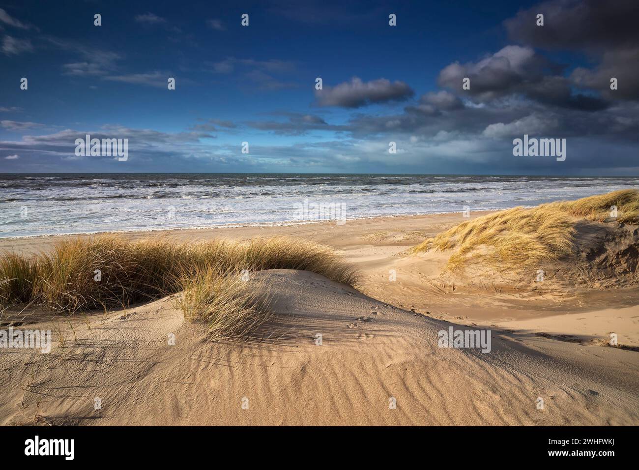 Dunes north sea coast hi-res stock photography and images - Alamy