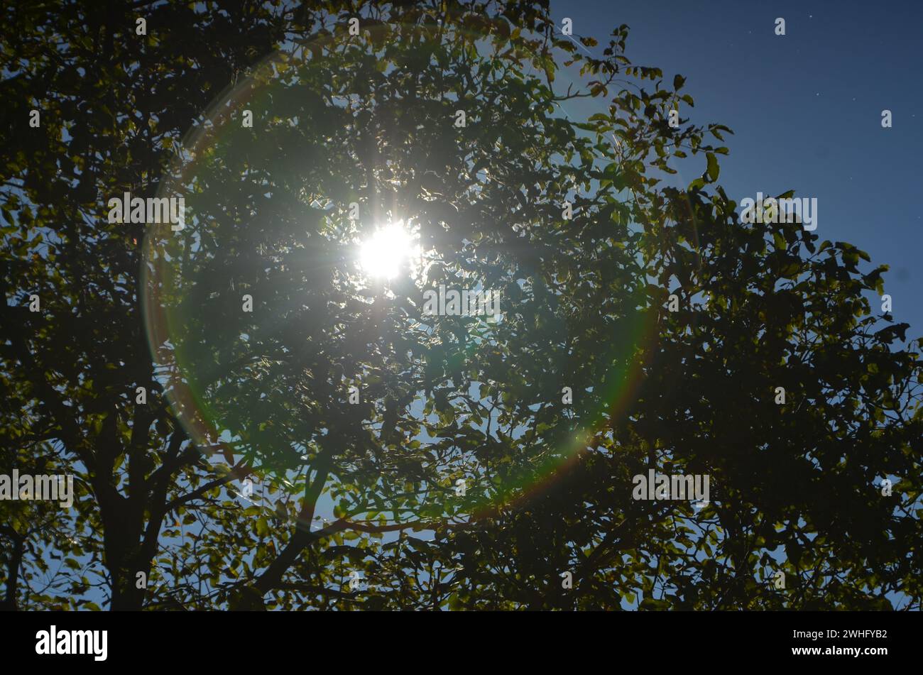 @ photo click hi-res stock photography and images - Alamy