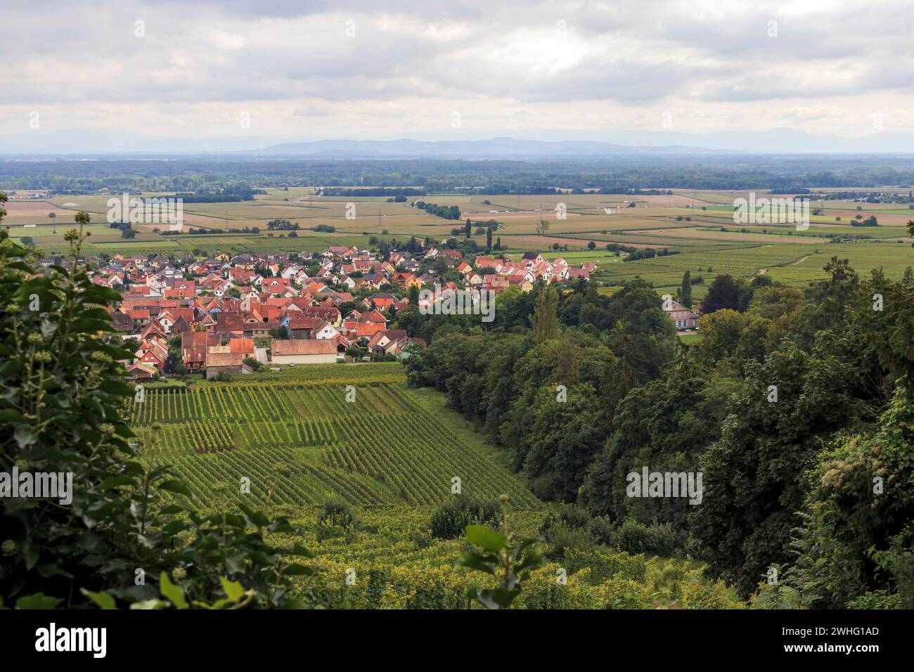 Panoramic view in Alsace, landscape Stock Photo - Alamy