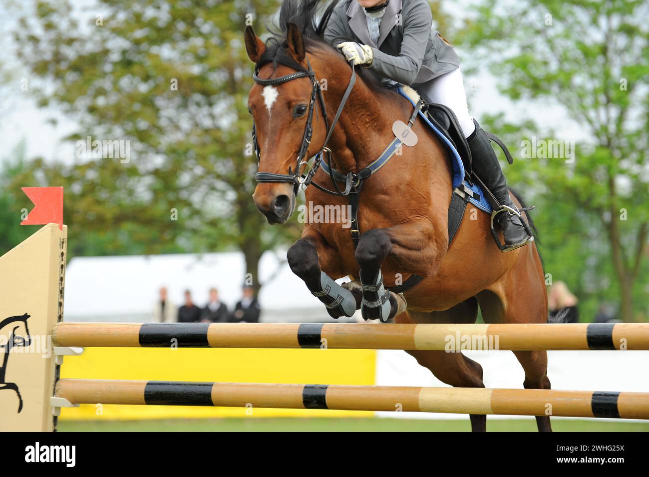 Show jumping tournament hi-res stock photography and images - Alamy