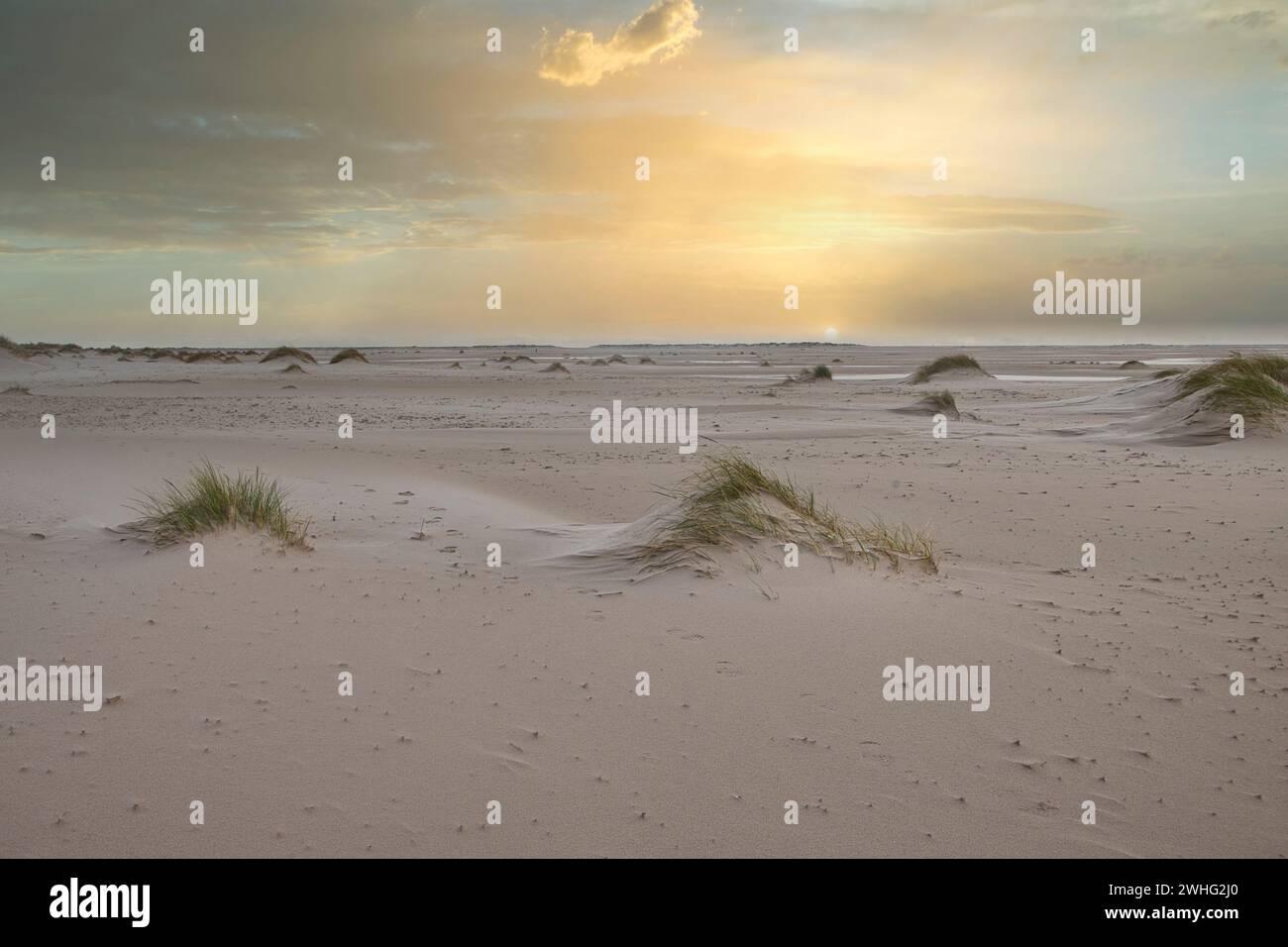 Dunes amrum island north hi-res stock photography and images - Alamy