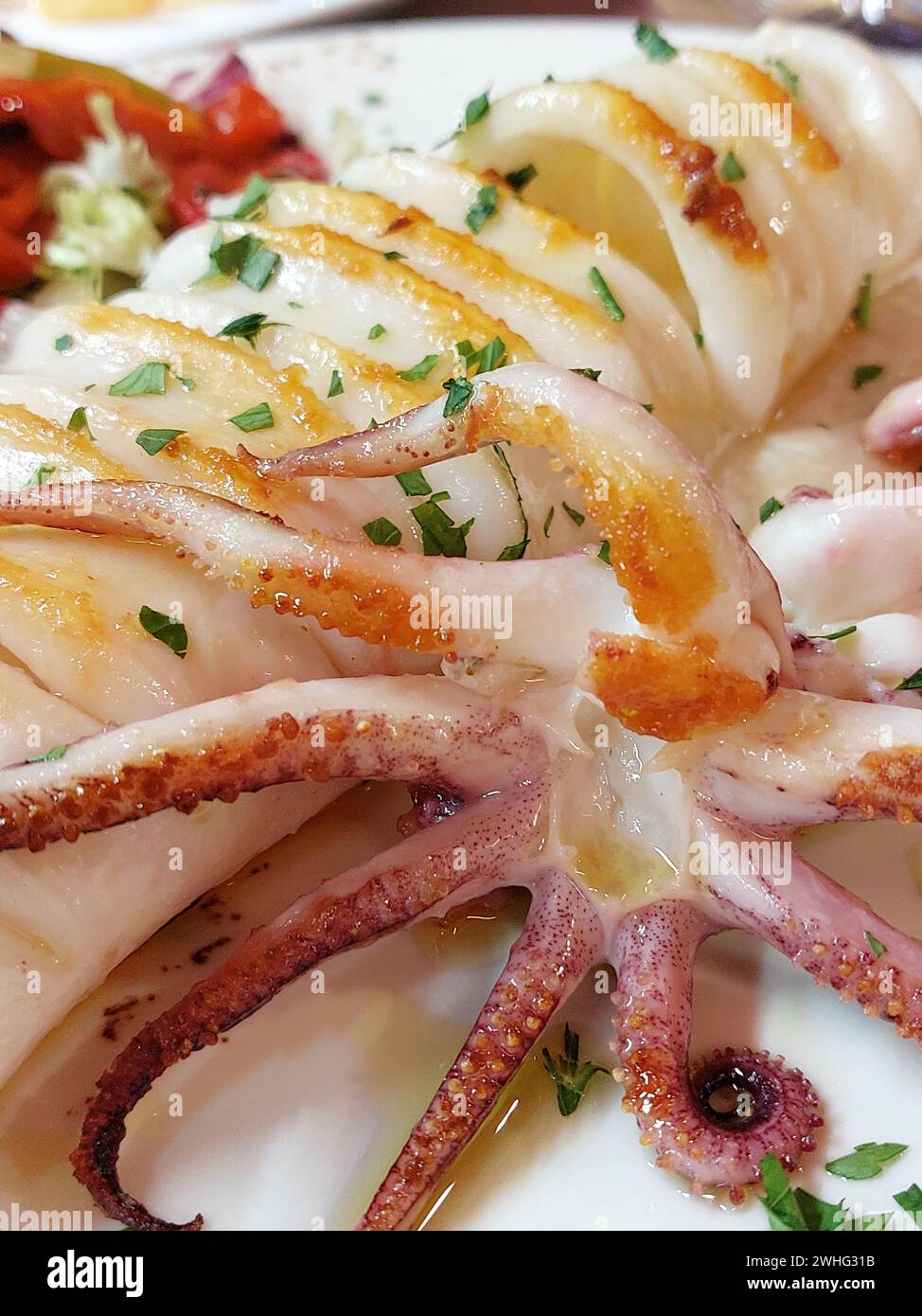Squid plate hi-res stock photography and images - Alamy