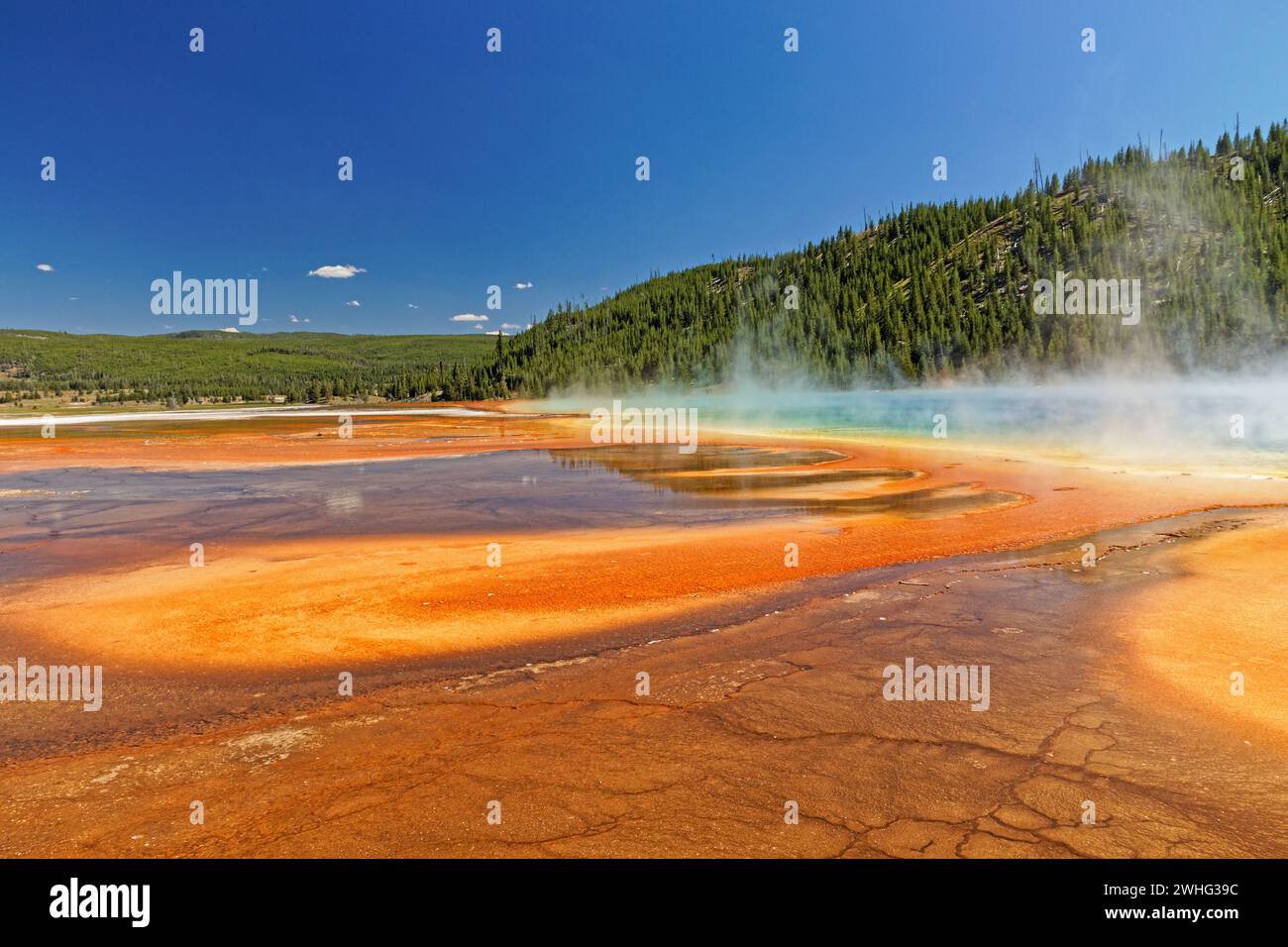 Colorful grand prismatic spring in the Yellowstone national park Stock ...