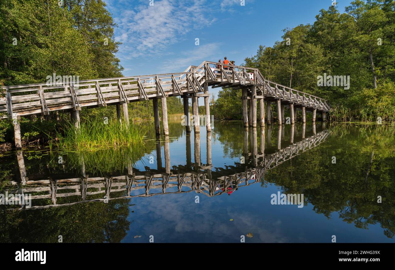 Wooden bridge over Drosedower Bek in the MÃ¼ritz Lakes Park Mecklenburg ...