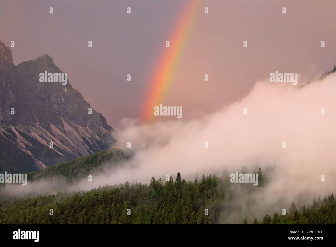 Dawn over mountains forest hi-res stock photography and images - Alamy