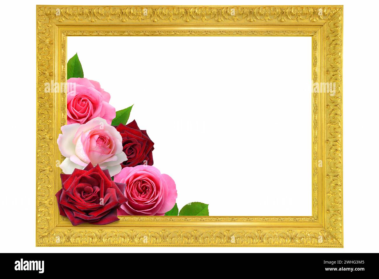 Roses picture hi-res stock photography and images - Alamy