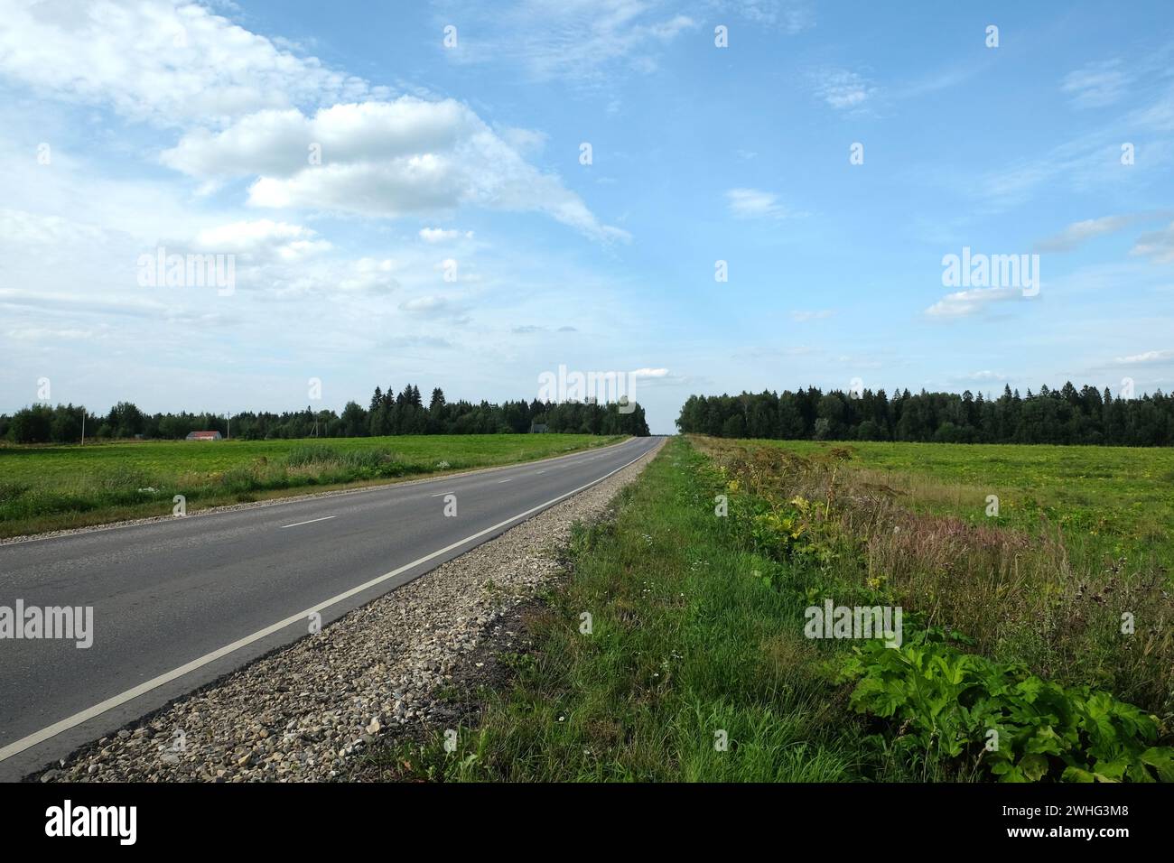 Empty rural asphalt road with road markings through the fields to the ...