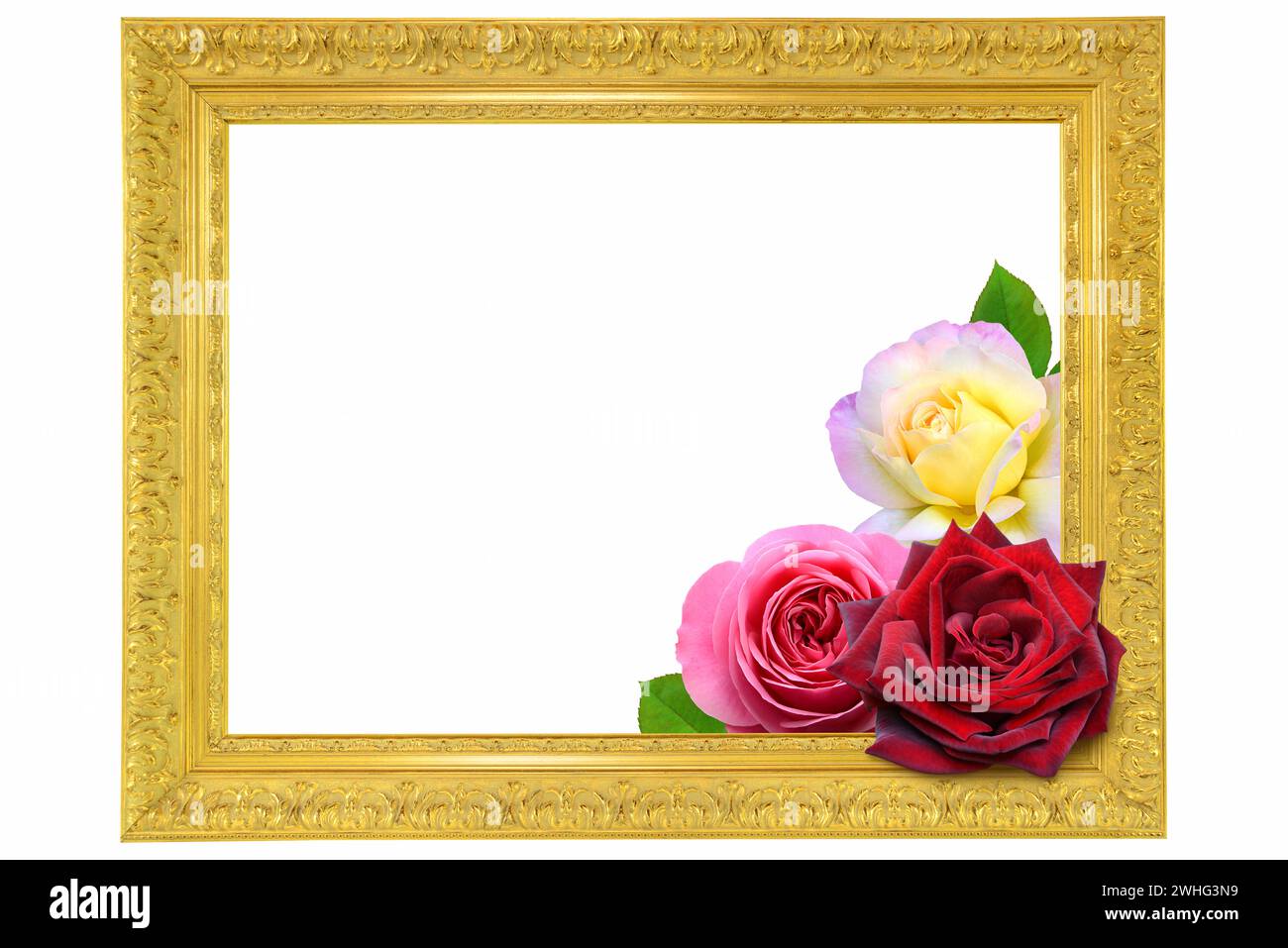 Roses picture hi-res stock photography and images - Alamy