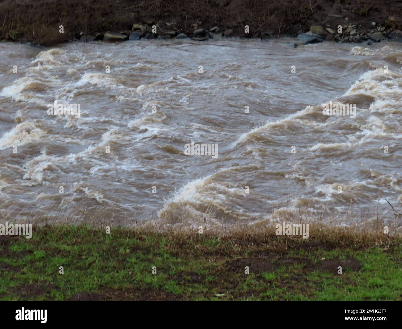 Hier laesst die Erft ihre Muskeln spielen schaeumende Erftwasser ueber ...