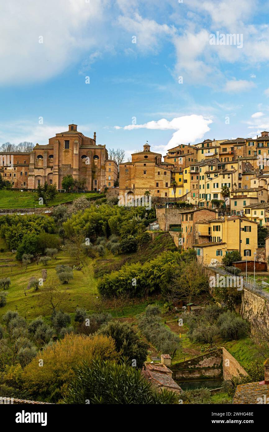 Downtown siena hi-res stock photography and images - Alamy