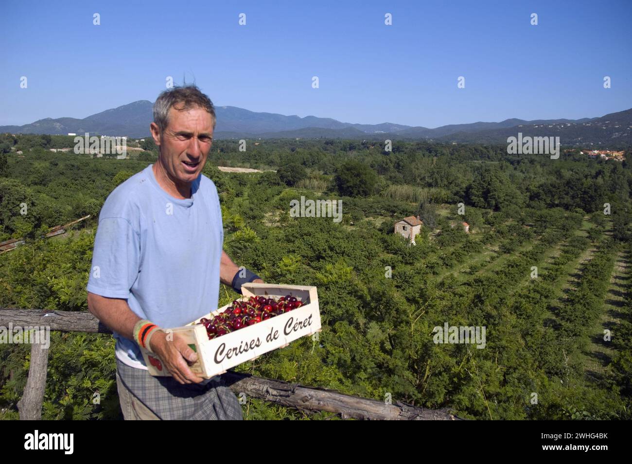 0150796 hi-res stock photography and images - Alamy