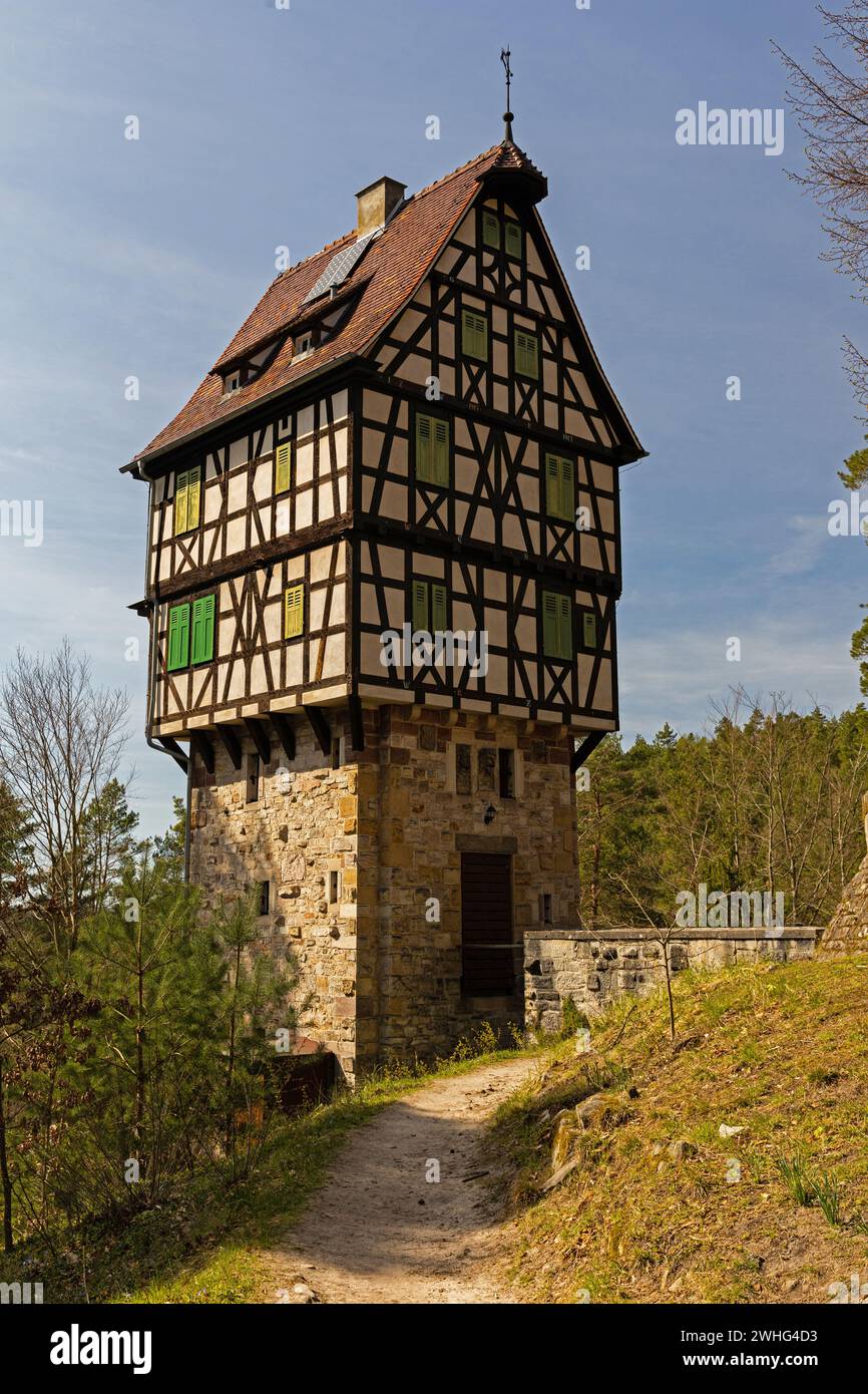 Duke's chair at the Rieseneck hunting lodge in Thuringia Stock Photo ...