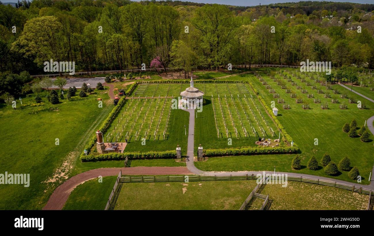 Aerial View of an Orchard and Vineyard With a Gazebo Stock Photo - Alamy