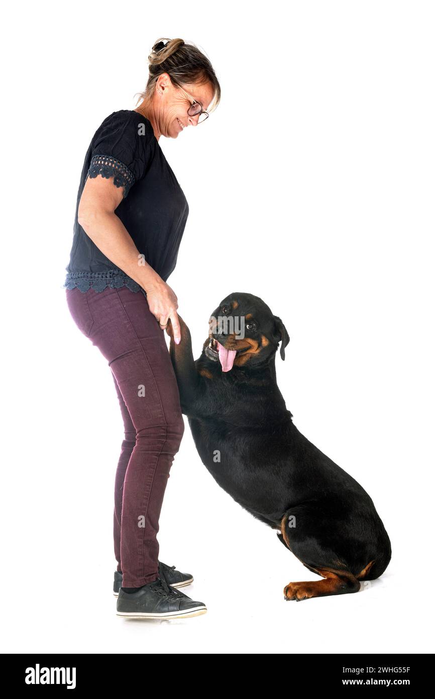 purebred rottweiler and woman in front of white background Stock Photo ...