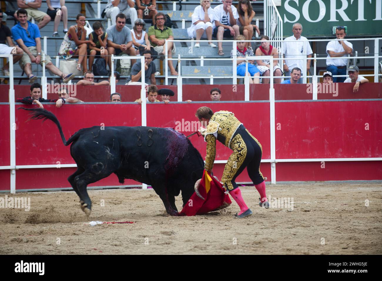Taureau corrida hi-res stock photography and images - Alamy