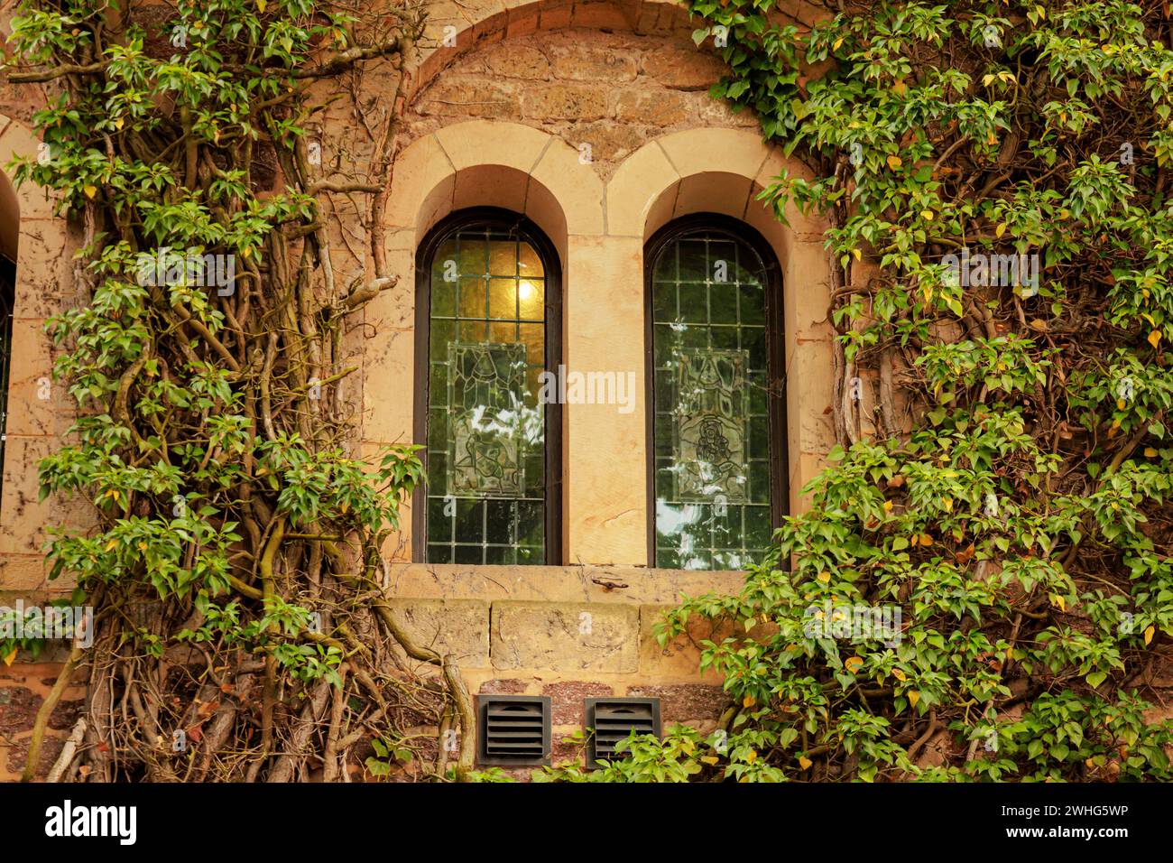 Castle window of the Wartburg, UNESCO World Heritage Site, Thuringia ...