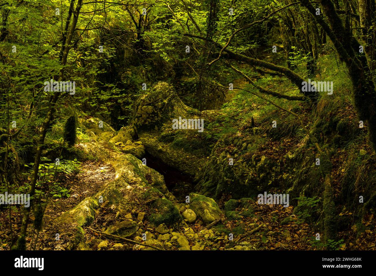Hiking trail in the Skaline nature park gorge in Croatia Stock Photo ...