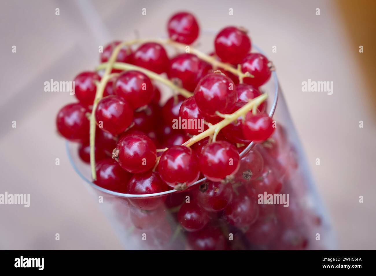 Vitality symbolism hi-res stock photography and images - Alamy