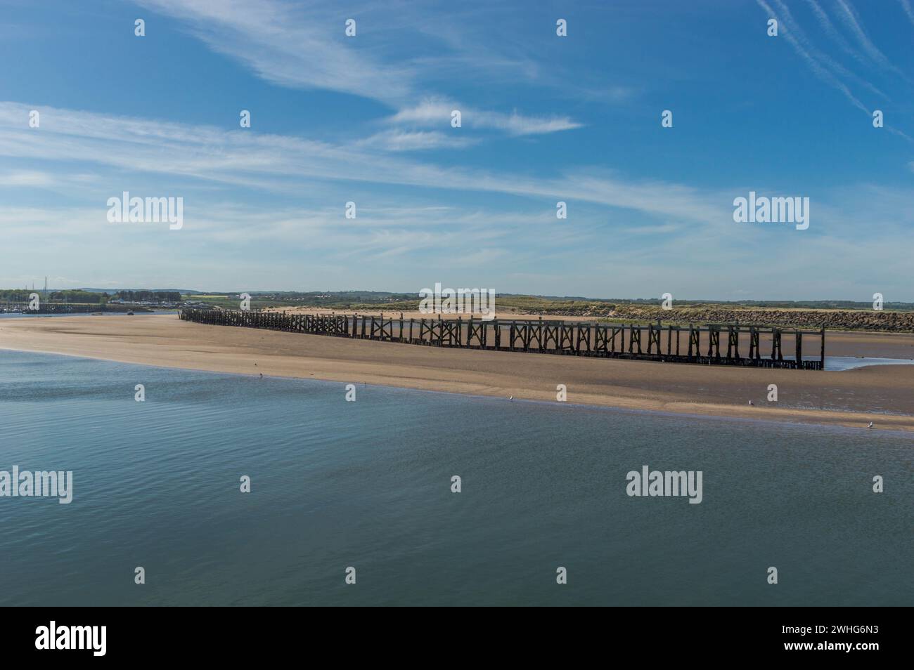 Amble wildlife hi-res stock photography and images - Alamy