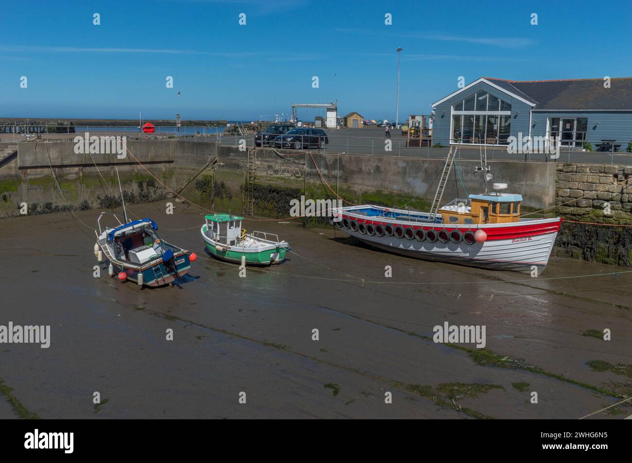 Amble wildlife hi-res stock photography and images - Alamy