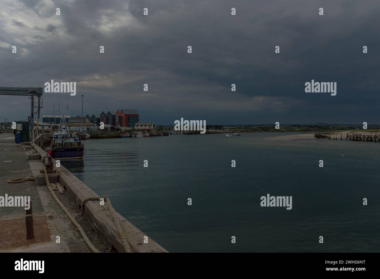 Amble wildlife hi-res stock photography and images - Alamy