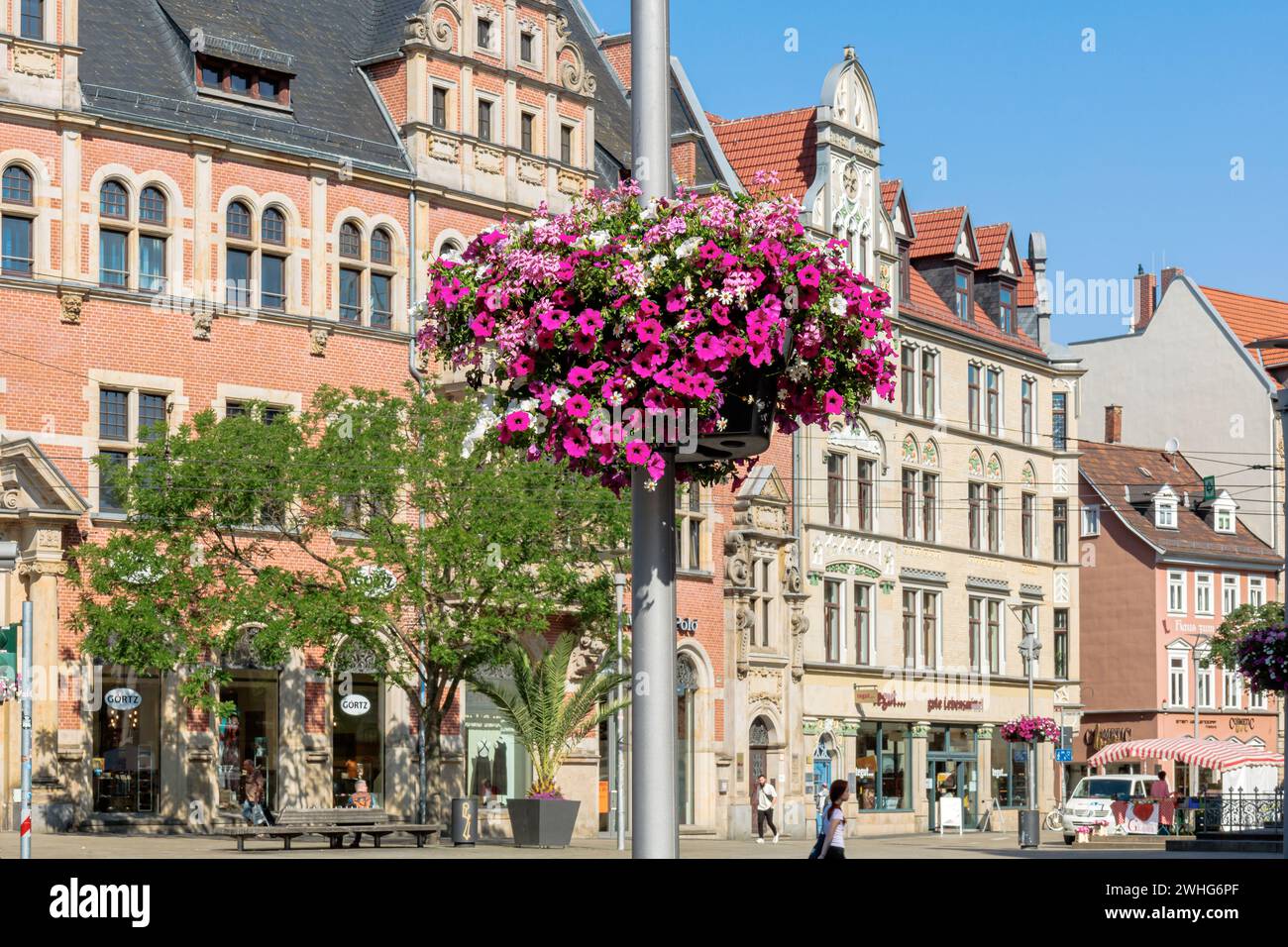 Promenade with floral decorations, Anger in Erfurt, Thuringia, Germany ...