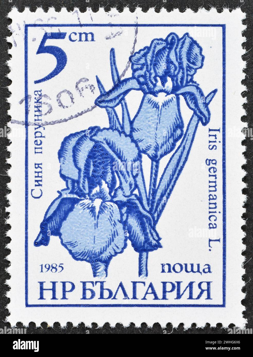 Cancelled postage stamp printed by Bulgaria, that shows Iris germanica ...