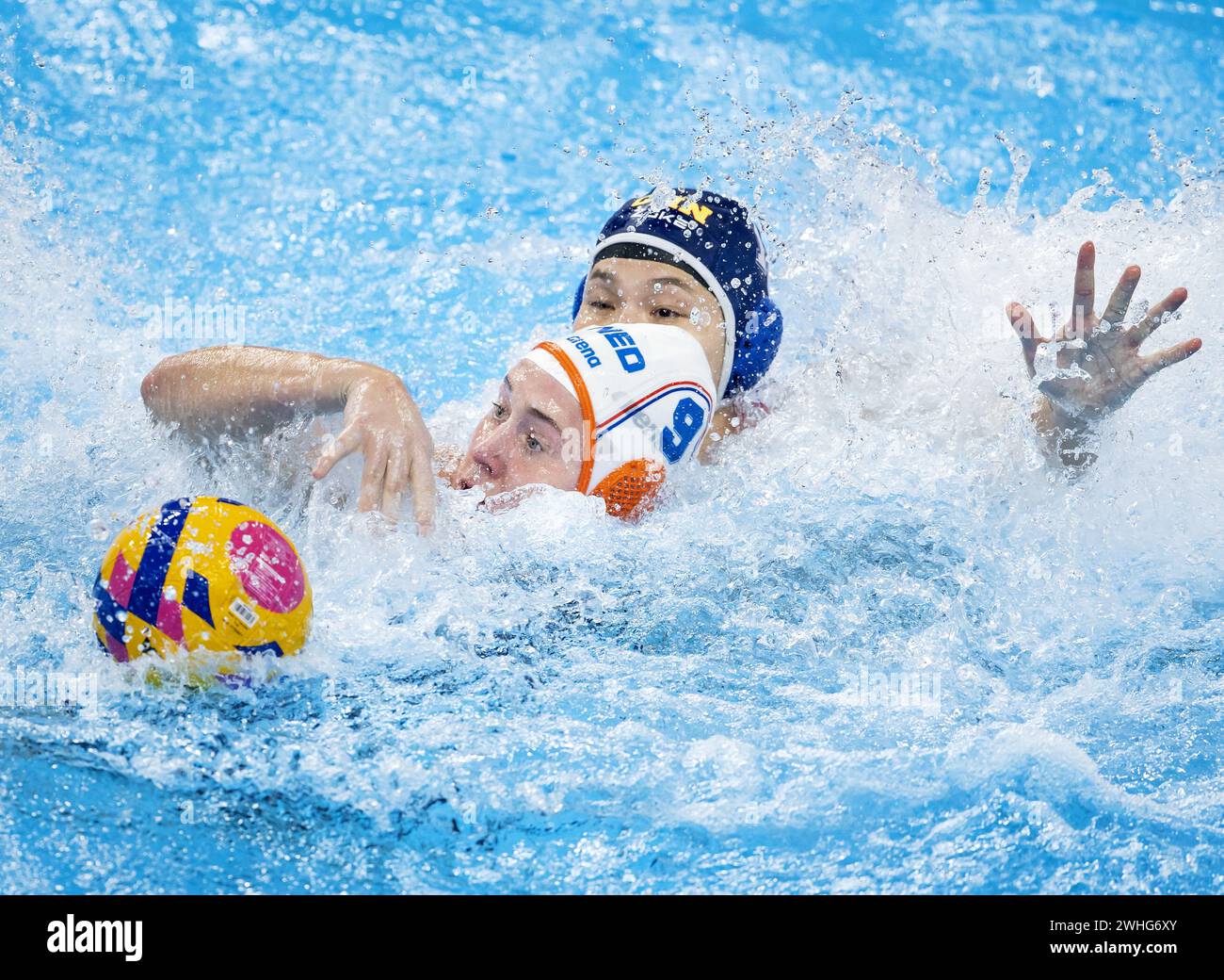 Kitty joustra hi-res stock photography and images - Alamy