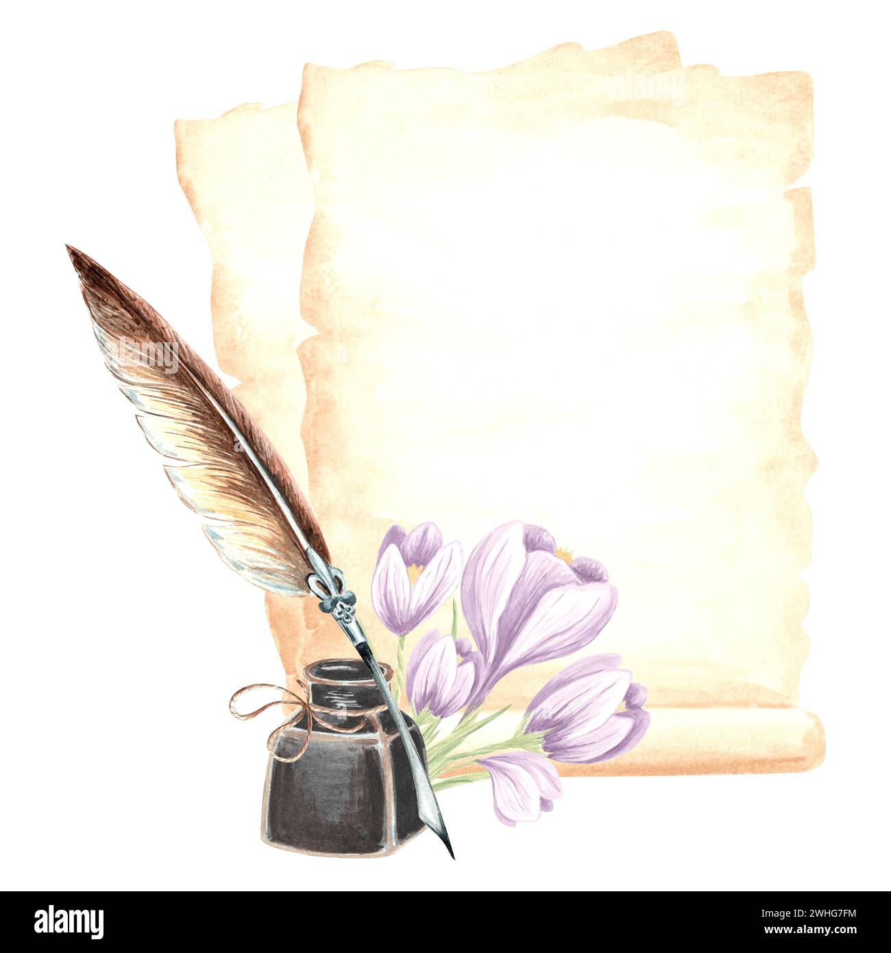 Sheets of papyrus paper, inkwell with feather pen and crocuses flowers ...
