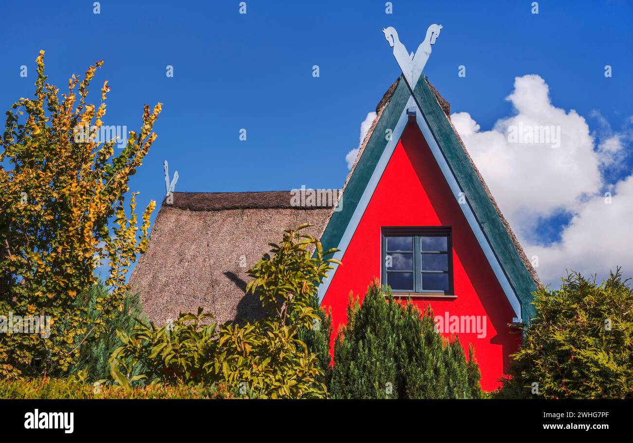 The thatched roof house behind the bushes Stock Photo - Alamy