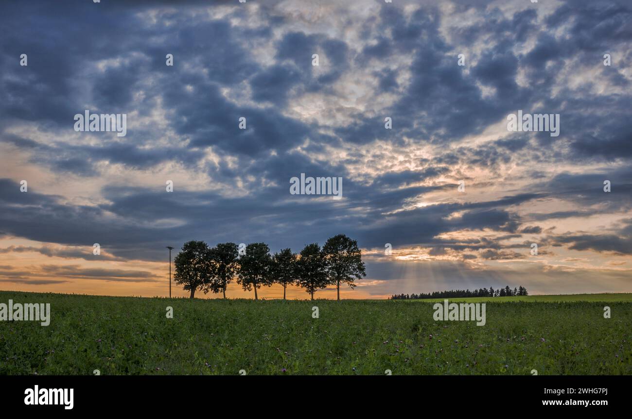 Field edge boundary hi-res stock photography and images - Alamy