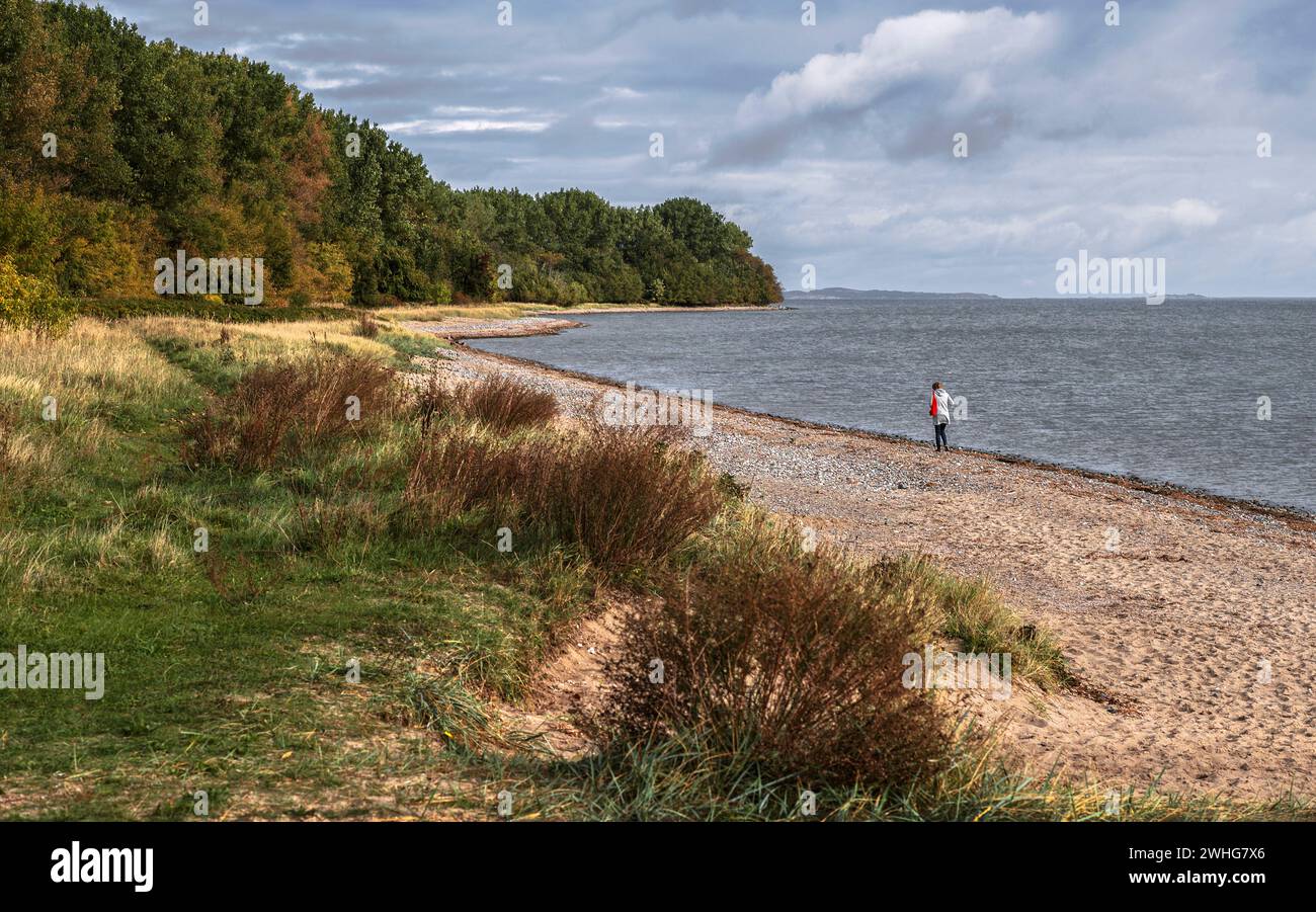 Grassland trees on cloudy hi-res stock photography and images - Alamy
