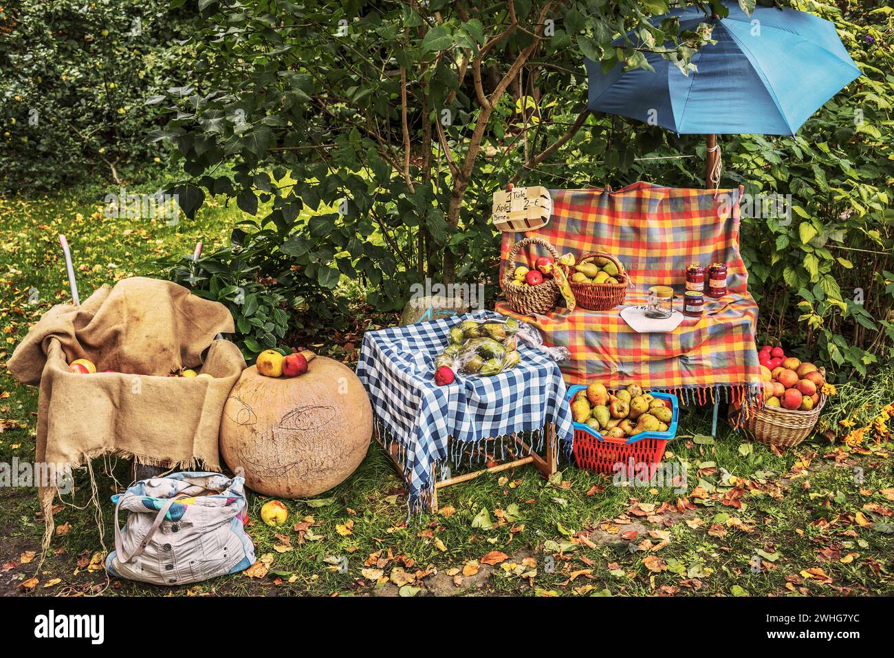 Plant sales table hi-res stock photography and images - Alamy