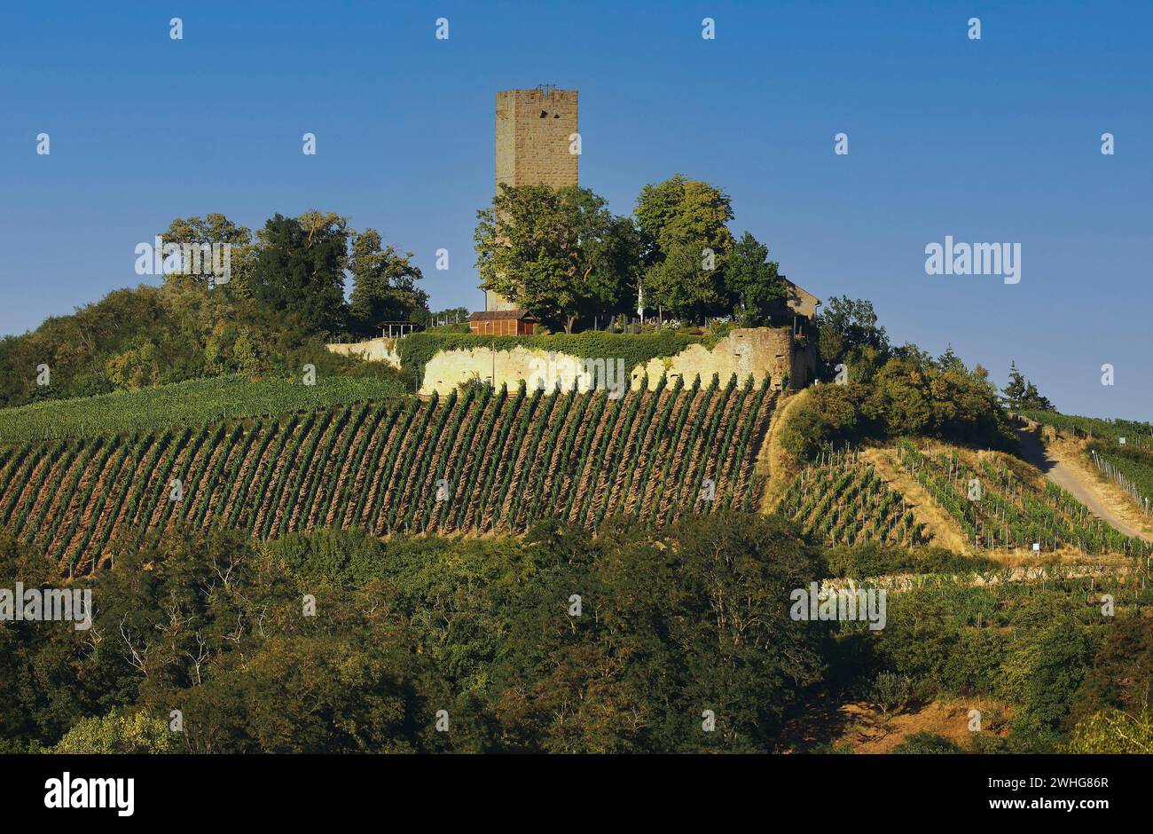 Ravensburg castle sulzfeld hi-res stock photography and images - Alamy