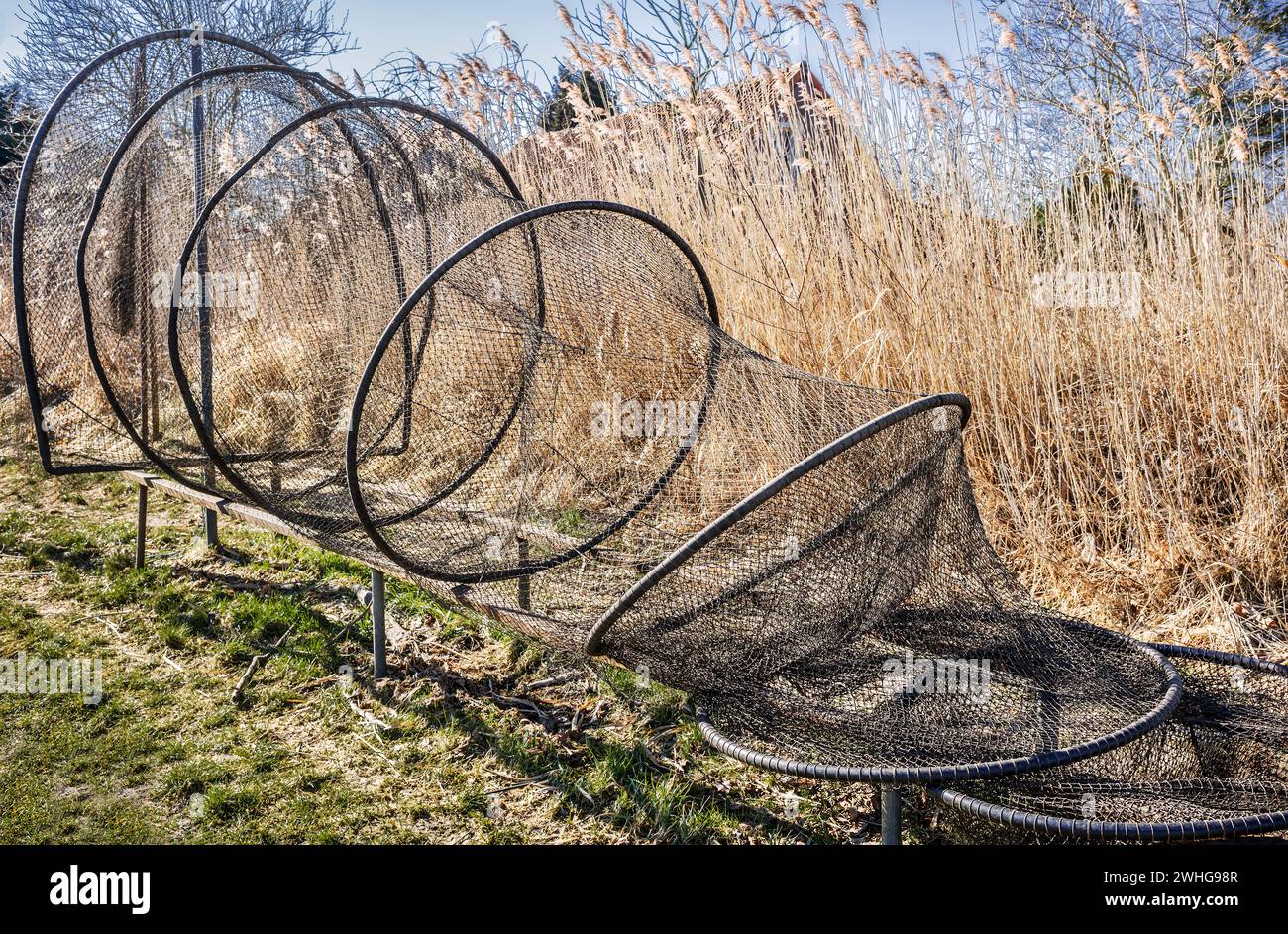 The drying of the traps Stock Photo - Alamy