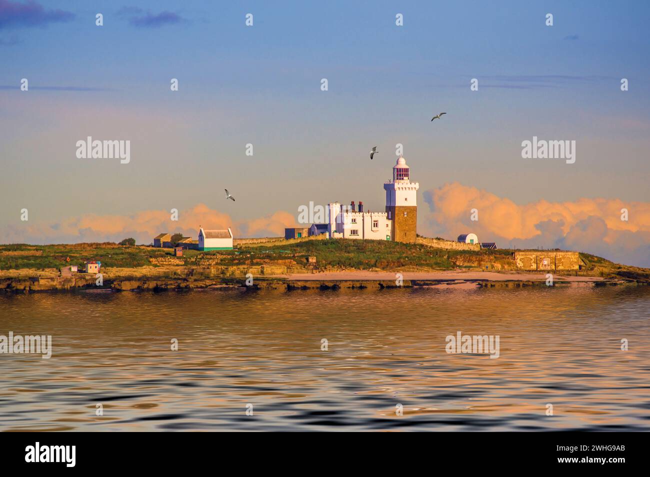 Coquet Island from Amble Stock Photo - Alamy